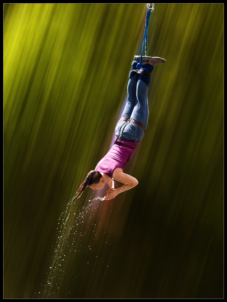 Bungee Foto & Bild | australia & oceania, new zealand, southland Bilder ...