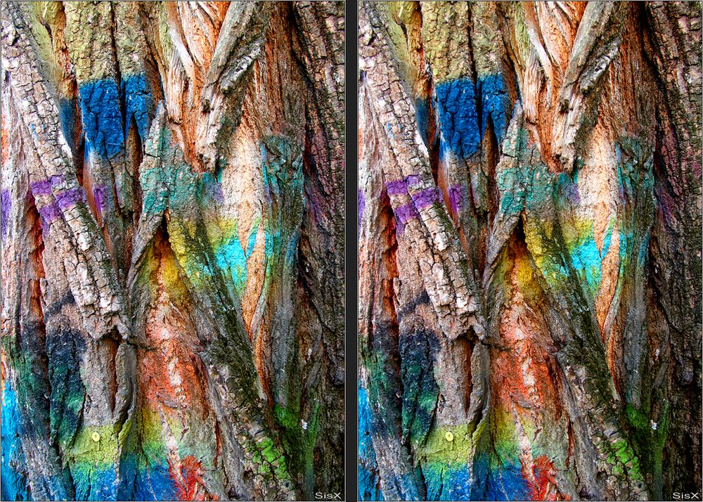 bunt Foto & Bild | bäume, baum, natur Bilder auf fotocommunity