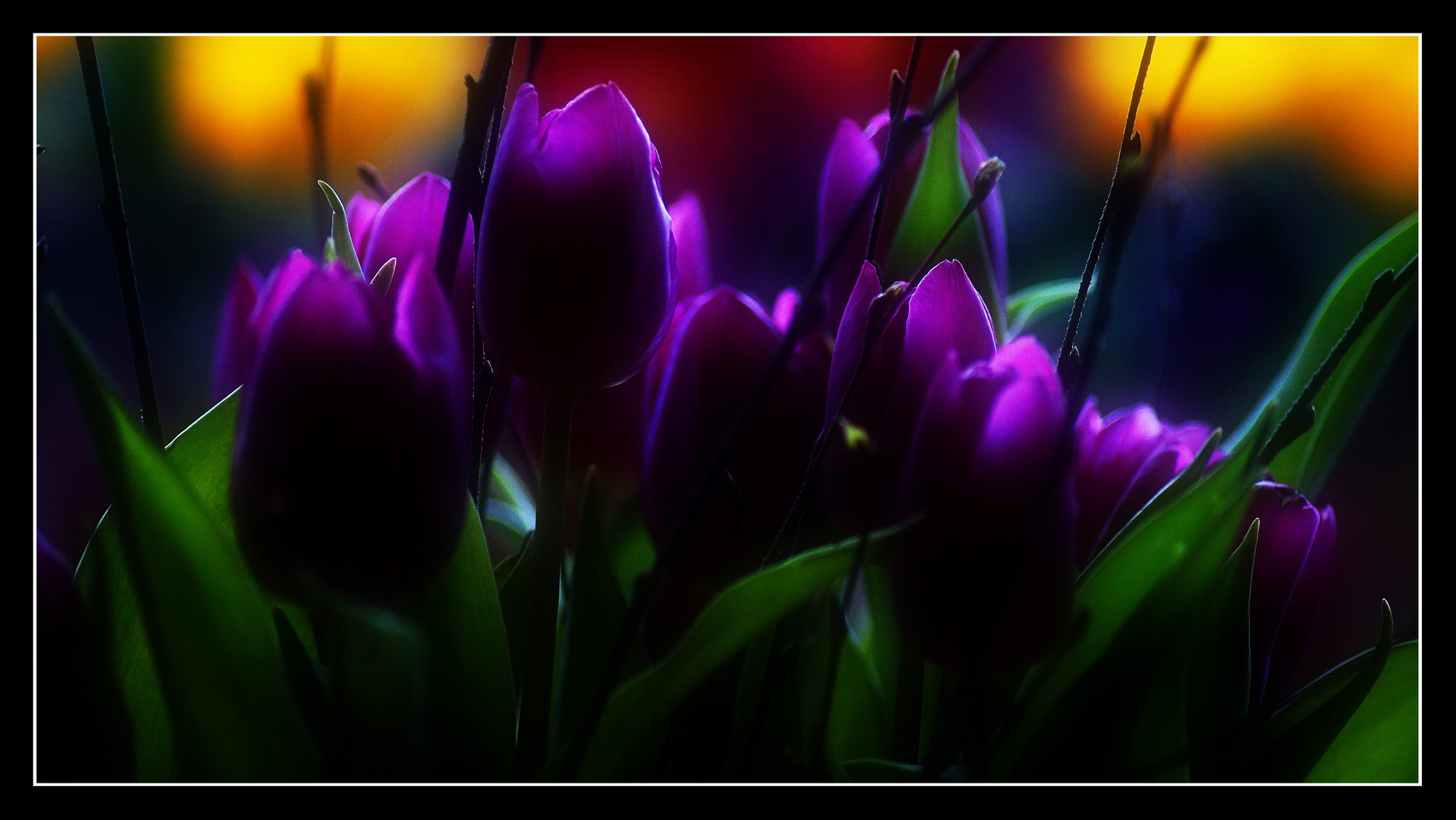 Bunt Foto & Bild | abstraktes, natur-makros, jahreszeiten Bilder auf ...