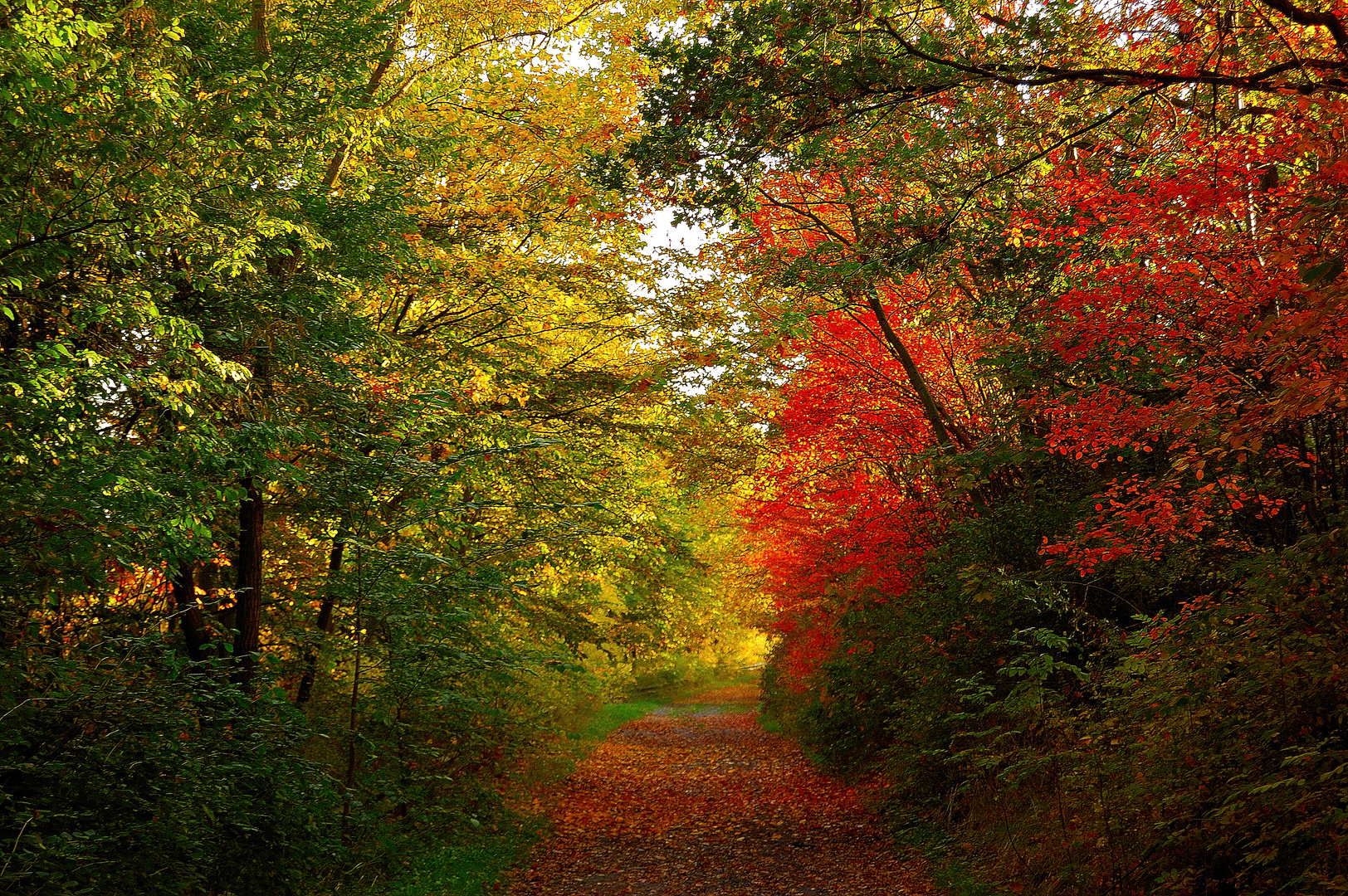 Bunt Foto & Bild | archiv projekte naturchannel, naturprojekte 2011 ...