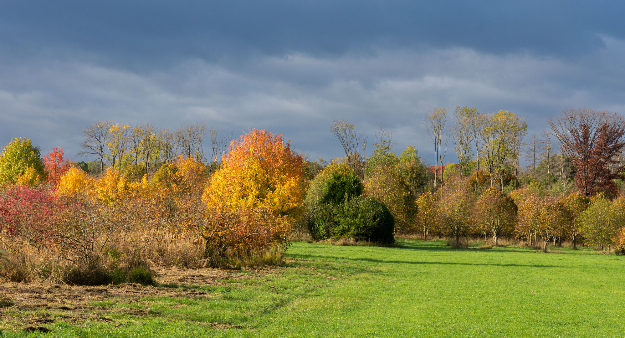 bunt Foto & Bild | landschaft, jahreszeiten, herbst Bilder auf ...
