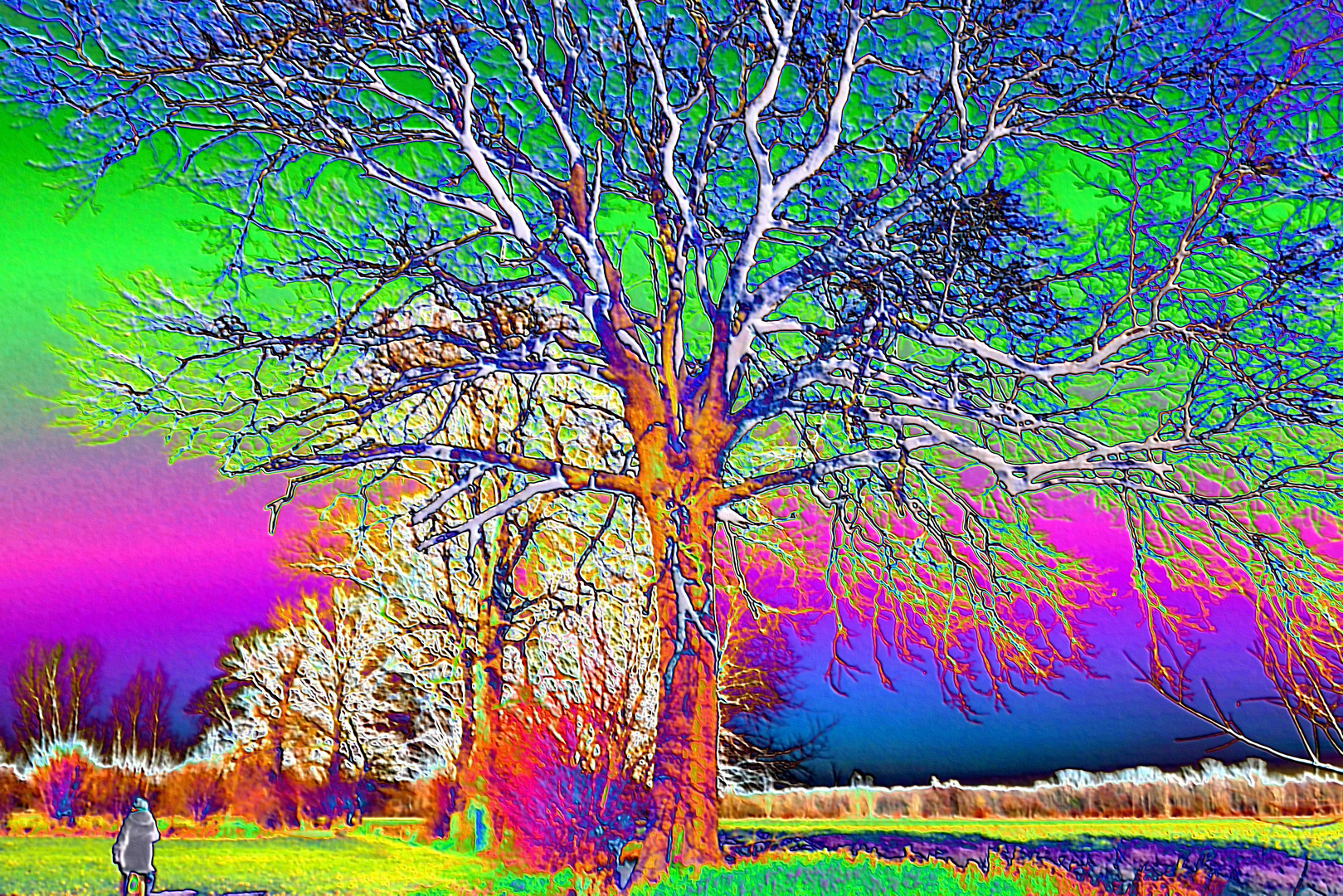 bunte Bäume Foto & Bild | bearbeitet, abstraktes, motive Bilder auf ...