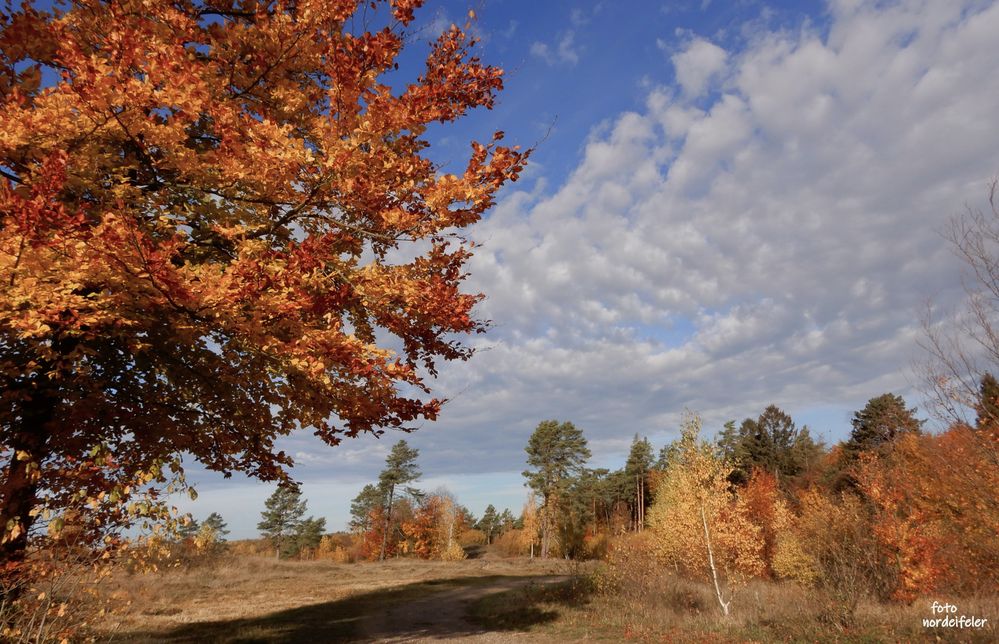 Bunte Jahreszeit. Foto & Bild | jahreszeiten, herbst, himmel Bilder auf ... Bunte Jahreszeit. Foto & Bild | jahreszeiten, herbst, himmel Bilder auf ...