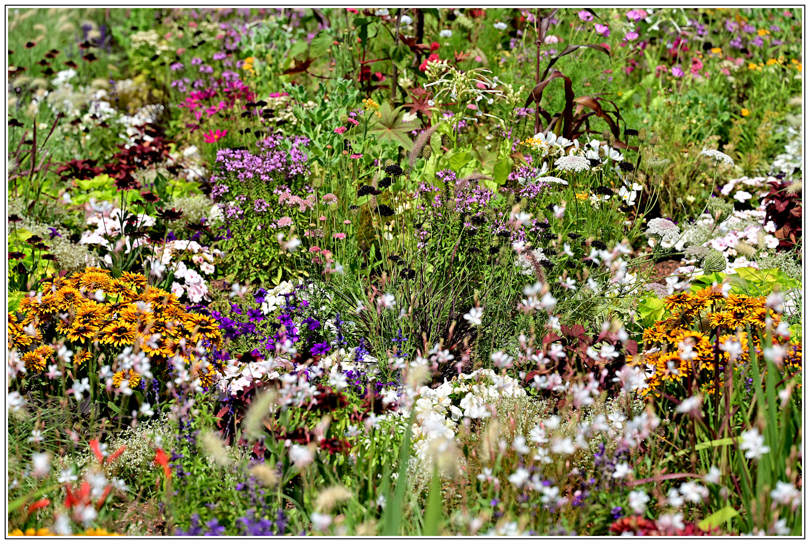 Bunte Vielfalt Foto & Bild | spezial, natur, mannheim Bilder auf ...