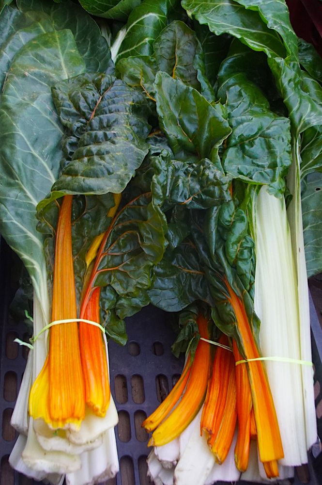 Bunter Arme-Leute-Spargel Foto & Bild | world, brandenburg, natur ...