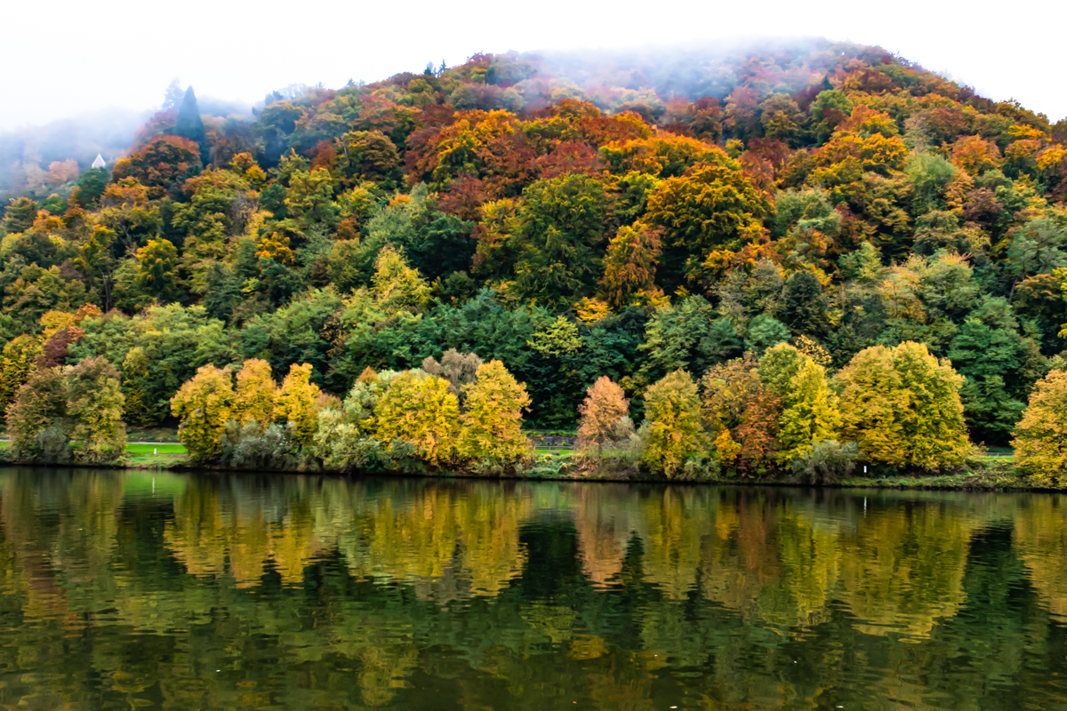 Bunter Herbstwald 3 0114-2 Foto & Bild | landschaft, jahreszeiten, herbst Bilder auf fotocommunity