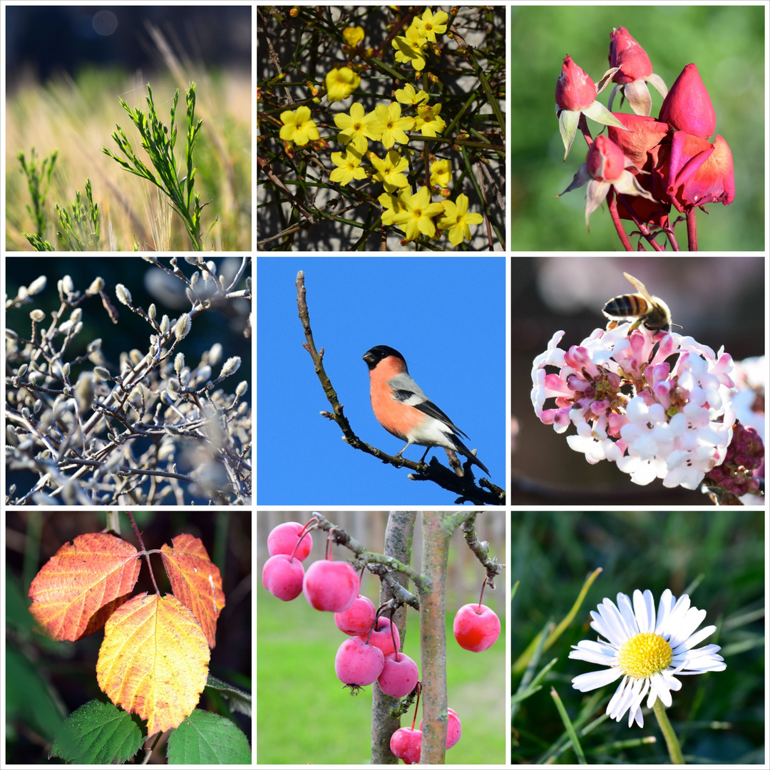 Bunter Jahreszeiten -Mix Foto & Bild | natur, jahreszeiten Bilder auf fotocommunity