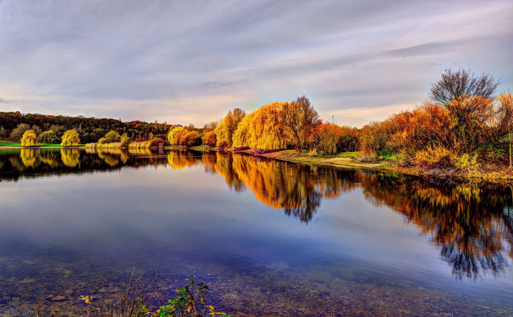 bunter November Foto & Bild | natur, landschaft, jahreszeiten Bilder ...