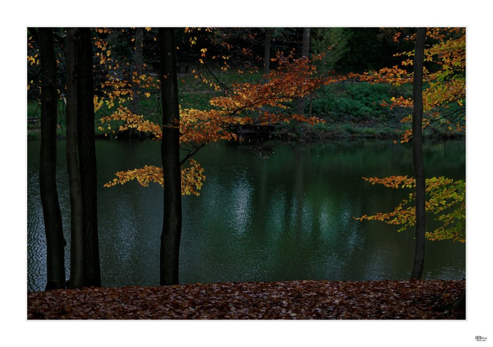 bunter Rahmen Foto & Bild | landschaft, jahreszeiten, herbst Bilder auf fotocommunity