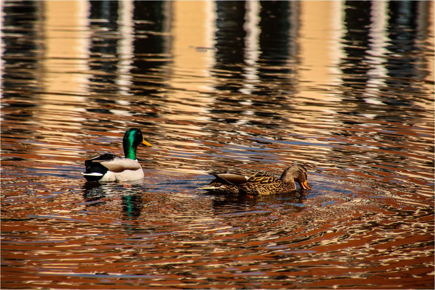 Buntes Treiben Foto & Bild | art, world, spezial Bilder auf fotocommunity