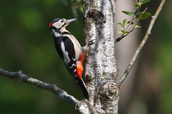 manfred bertl photography - Fotos & Bilder - Fotograf aus Piding ...