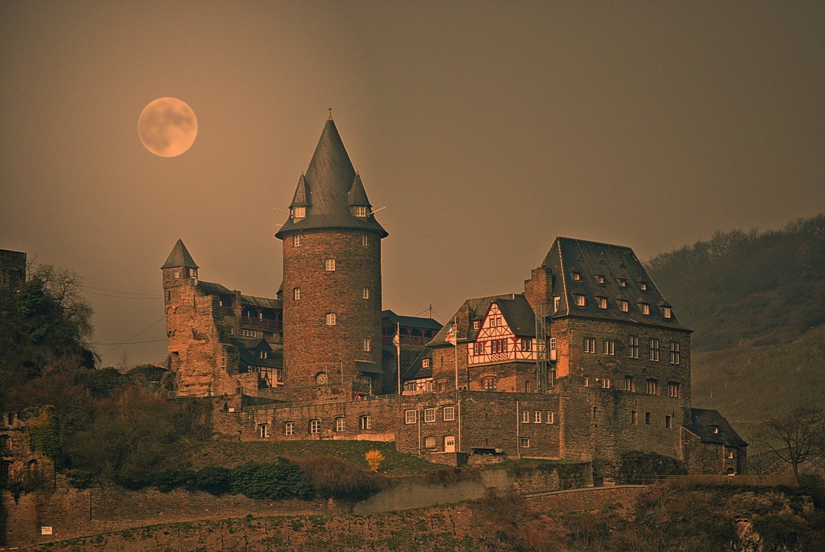 Burg am Rhein Foto & Bild | architektur, architektur bei nacht, spass ...