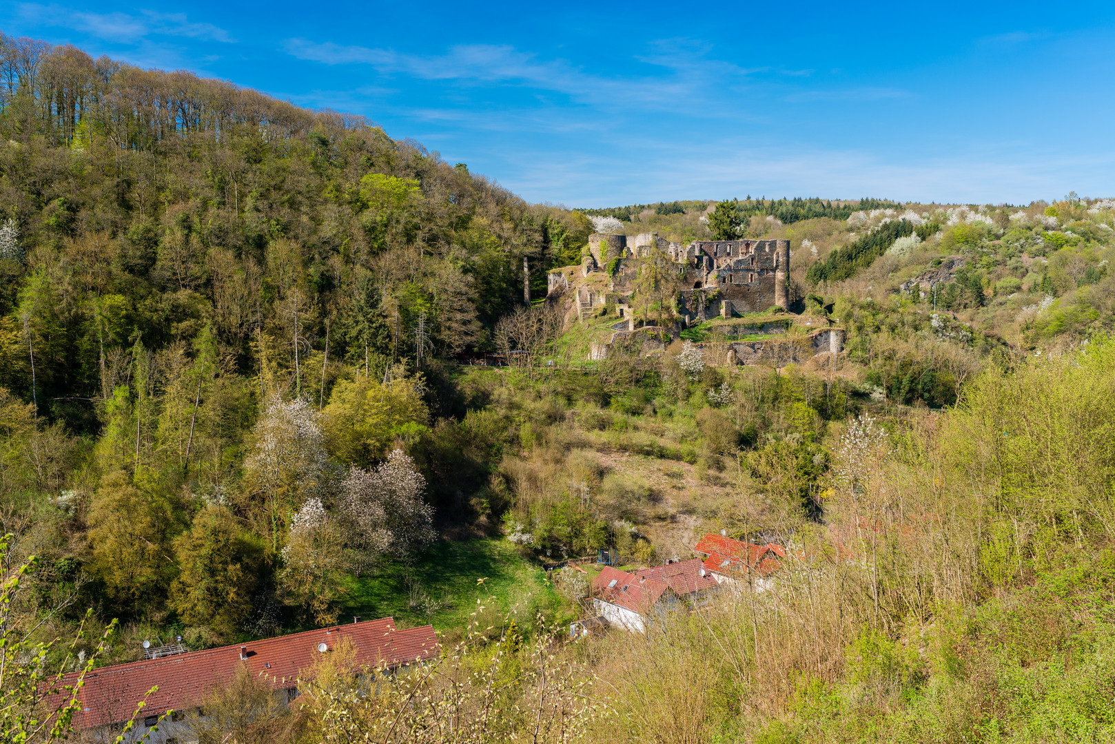 Burg Dalberg 67 Foto & Bild | burg, 2018, höhenburg Bilder auf ...