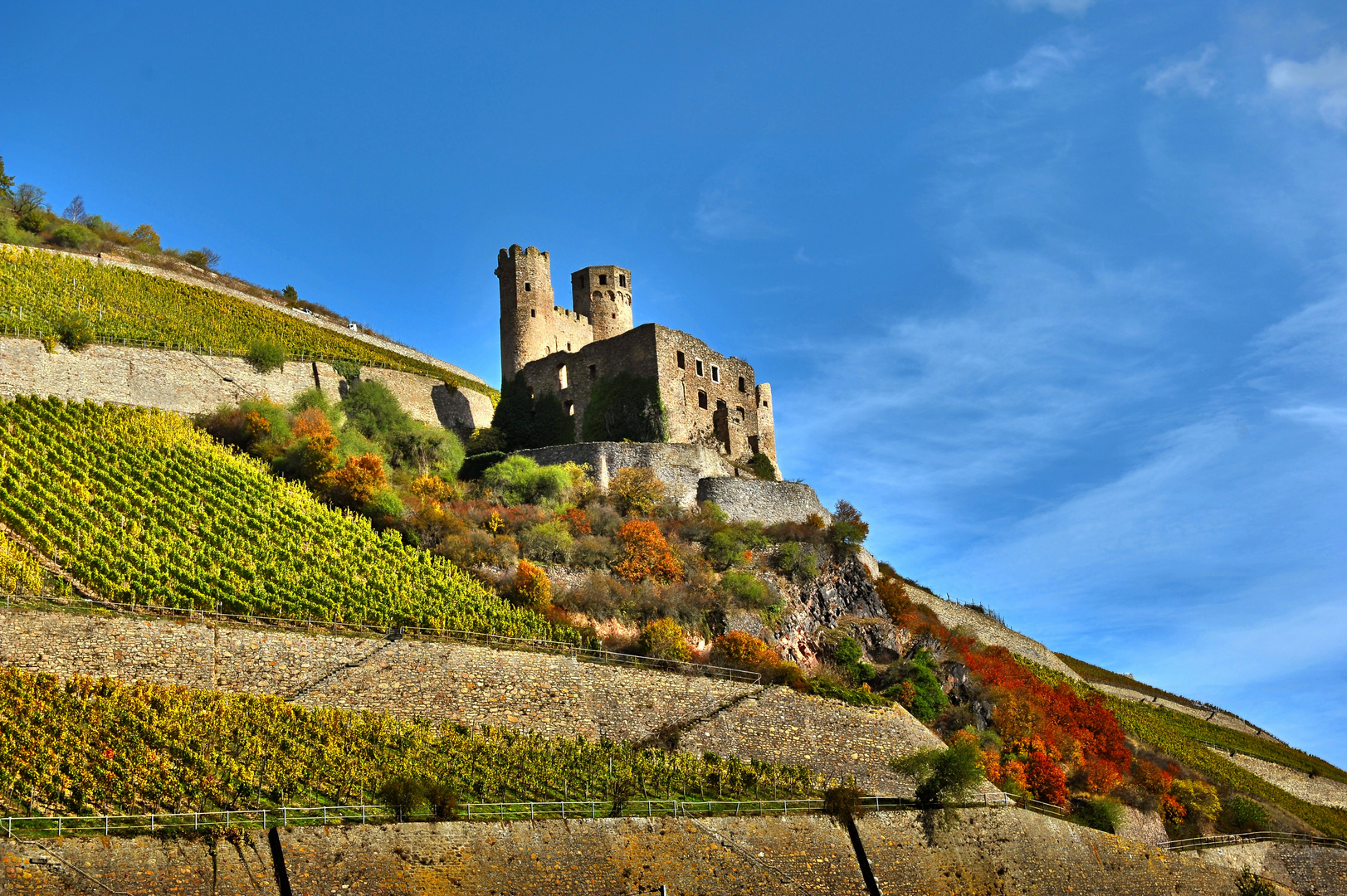 Burg im Rheingau Foto & Bild | landschaft, bach, fluss & see ...