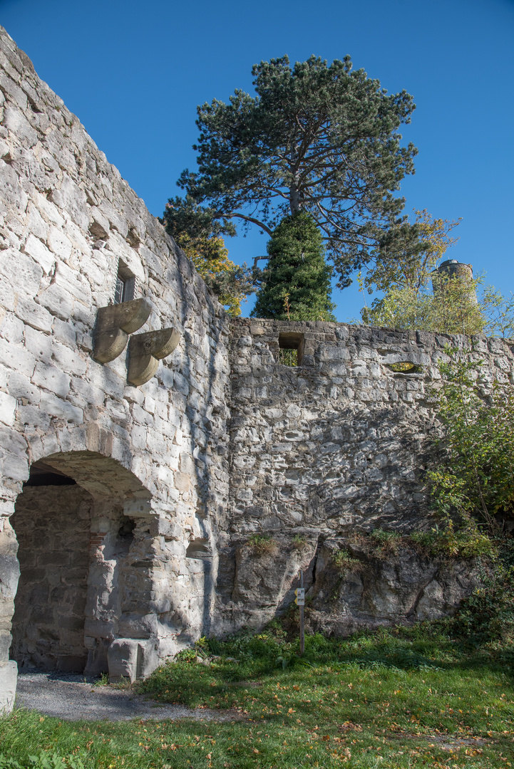 Burg Löwenstein Foto & Bild | architektur, schlösser & burgen ...