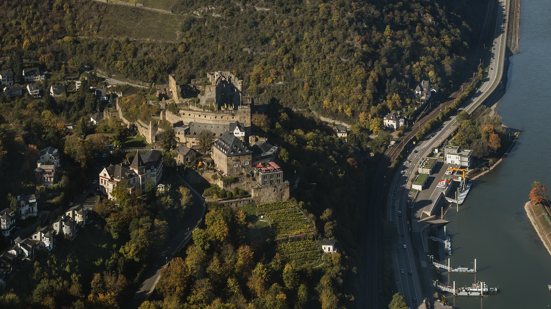 BURG RHEINFELS bei Sankt Goar Foto & Bild | deutschland, europe ...