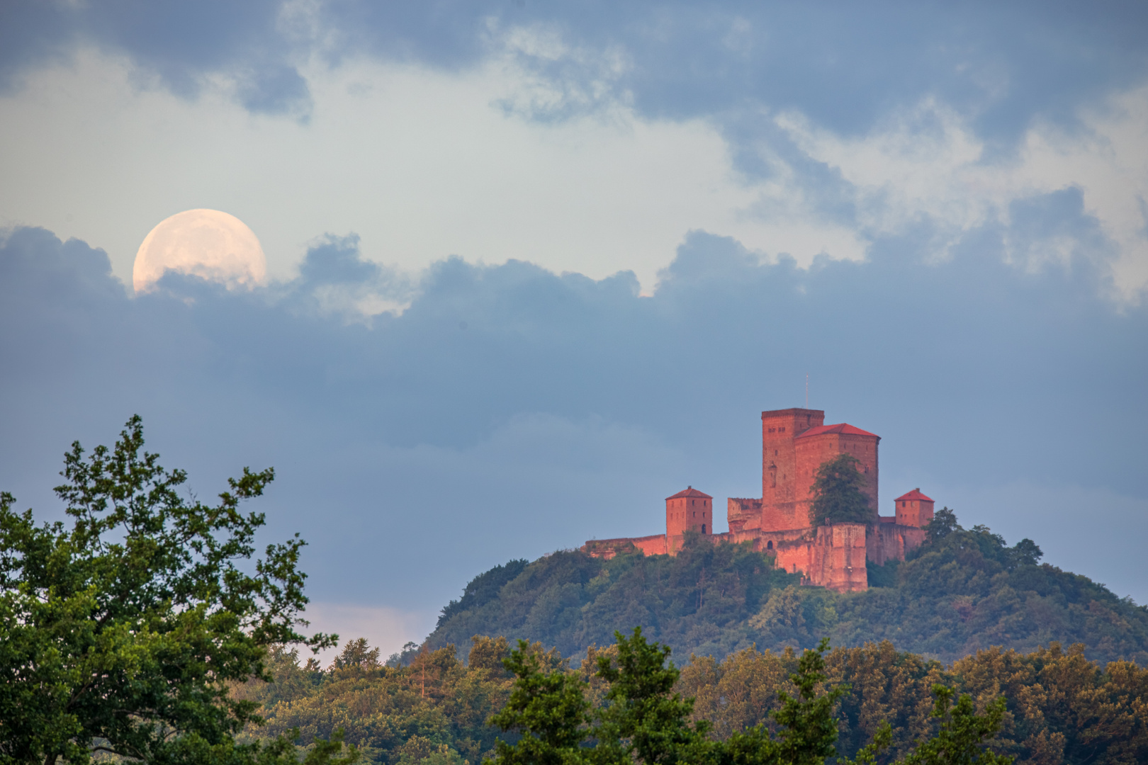 Burg Trifels im Morgenlicht Foto & Bild | landschaft, fotos, himmel ...