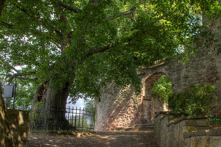 Burglinde Foto & Bild | deutschland, europe, nordrhein- westfalen ...