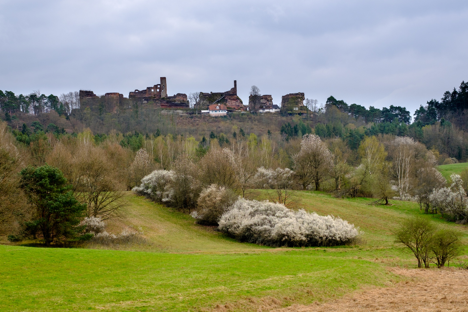 Burgmassiv Altdahn-Grafendahn-Tanstein Foto & Bild | world, frühling ...