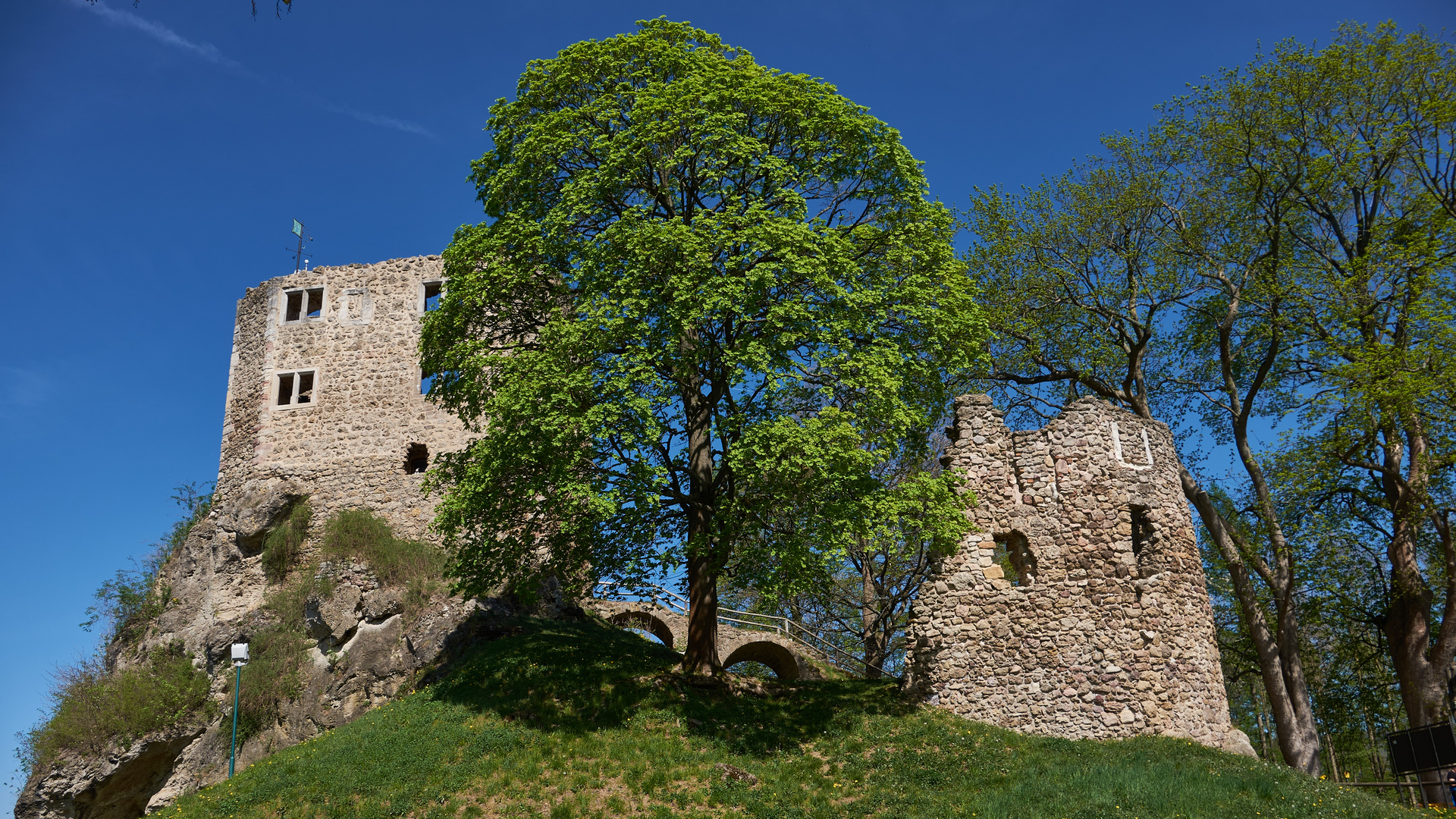 Burgruine Liebenstein Foto & Bild | deutschland, europe, thüringen ...