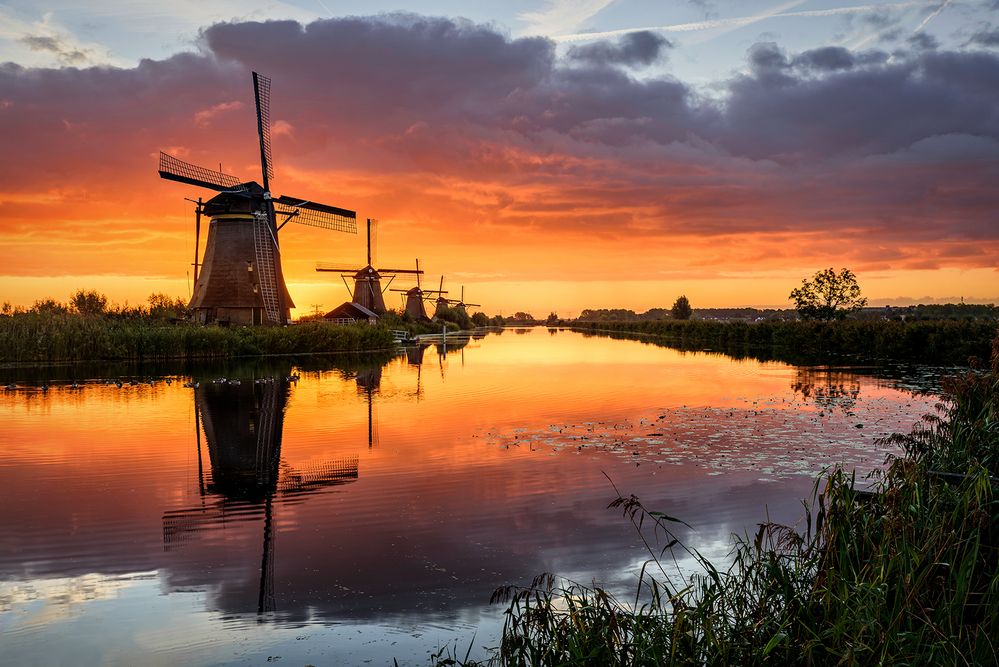 Burning Sky im Mühlenpark Kinderdijk Foto & Bild | monatswettbewerbe, 2023, 05: mühlen Bilder ...