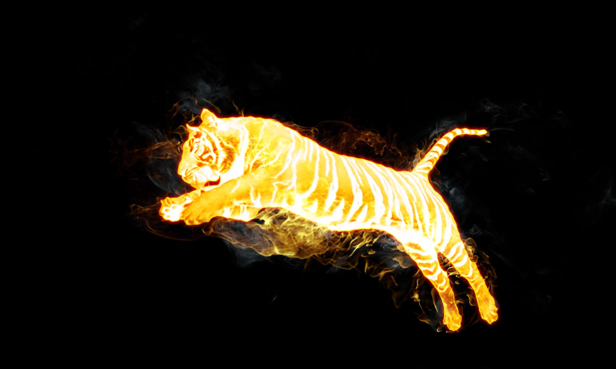 Burning Tiger Foto & Bild | fotokunst, licht und feuer, experimente ...