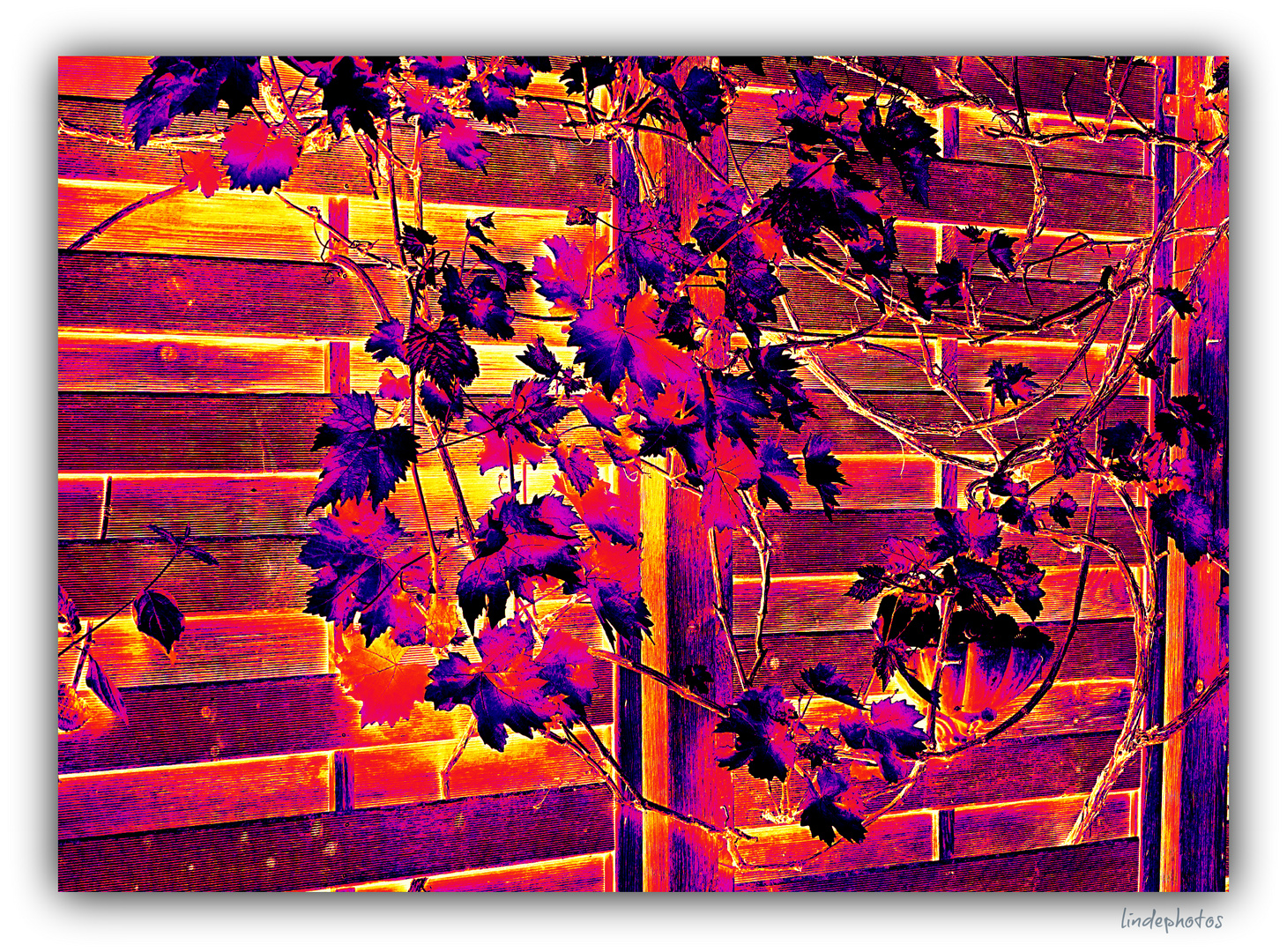 Burning Wall Foto & Bild | bearbeitungs - techniken, invertiertes ...