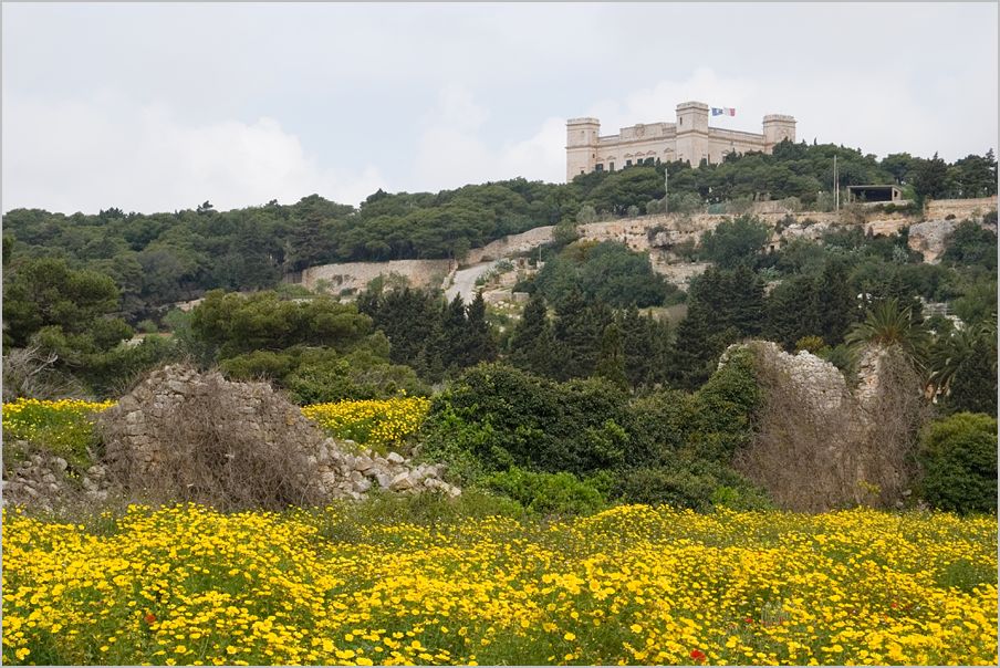 Buskett Garden Foto & Bild | europe, malta, malta 2007 Bilder auf ...