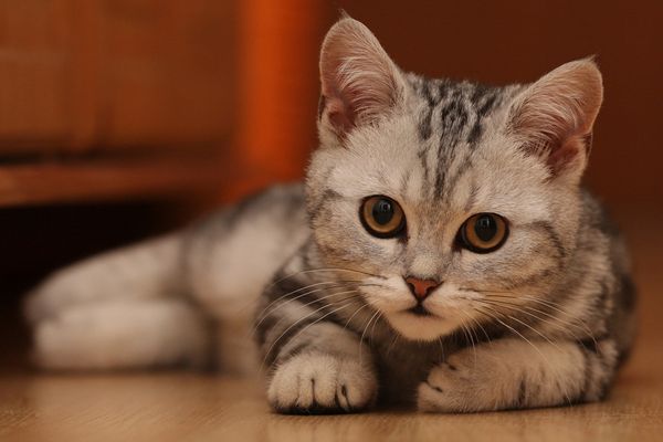 Marc Langenberg - Fotos & Bilder - Fotograf aus Ratingen, Deutschland ...