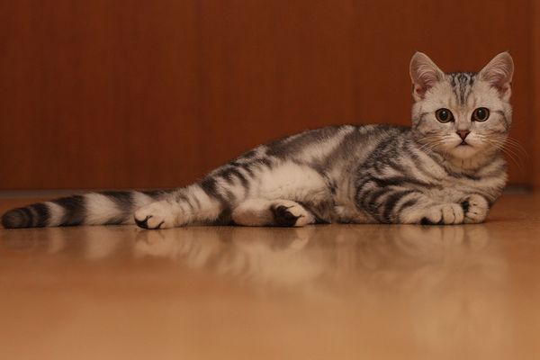 Marc Langenberg - Fotos & Bilder - Fotograf aus Ratingen, Deutschland ...