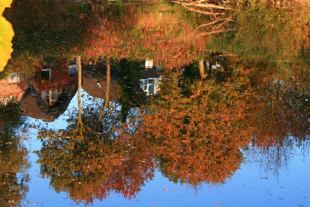 12 Latumer See 27 - Bild & Foto von Claudia Högel aus Seen - Fotografie ...