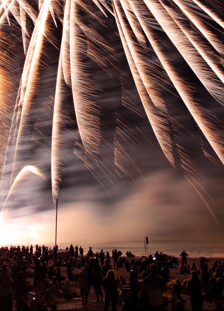 Palmenzweige - Bild & Foto von Michael Pietschmann aus Lichtspiele ...