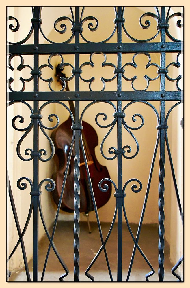 # Cäcilien-Cello # Foto & Bild | indoor, steiermark, musikinstrument ...