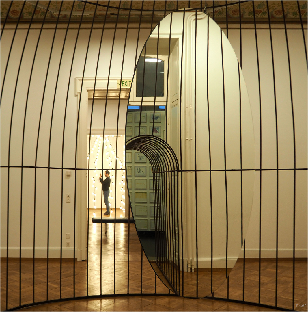 Cage and Mirror Foto & Bild | kunst, motive, museales Bilder auf ...