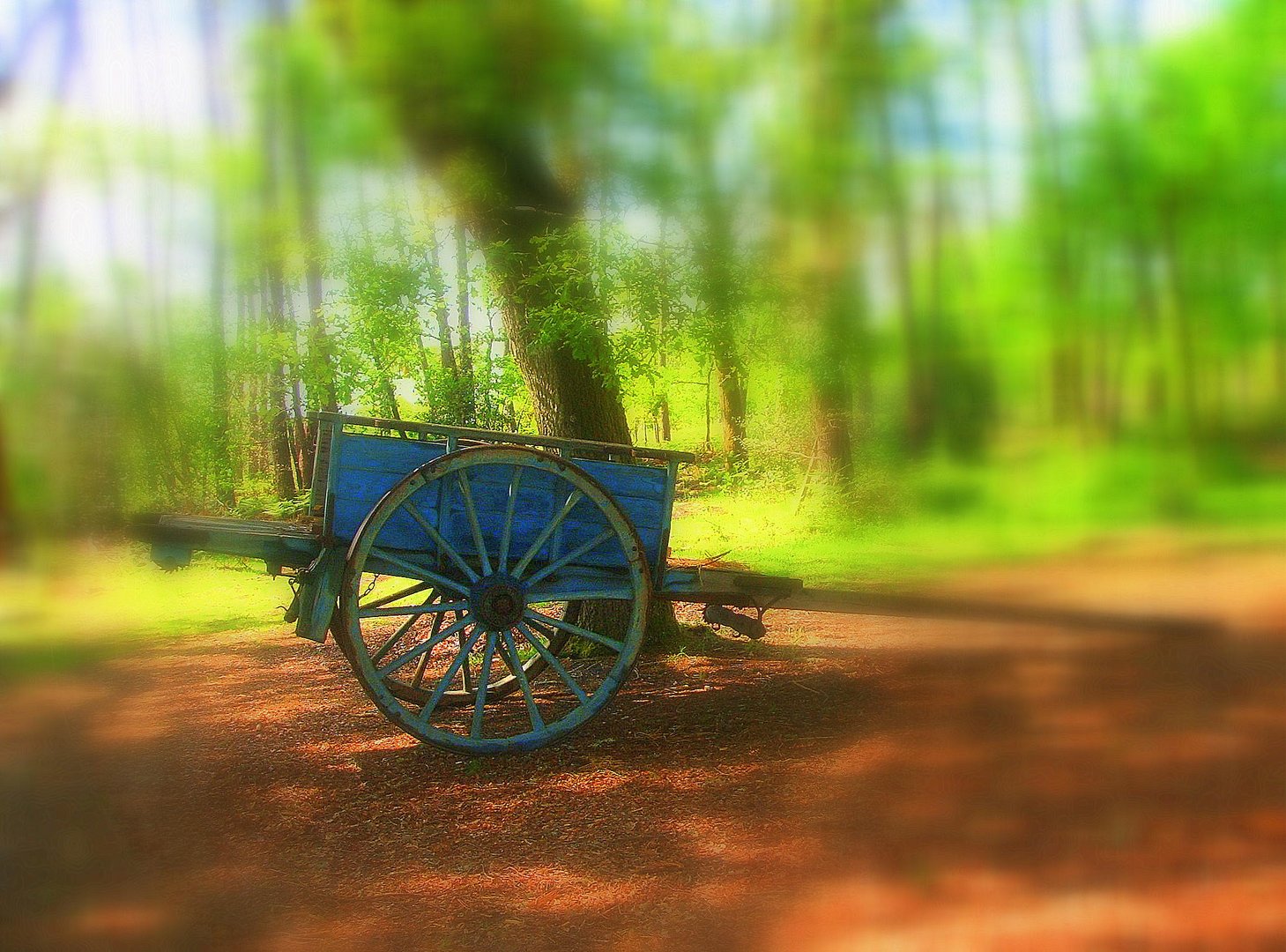 caleche 2 photo et image | divers, la nature simplement, nature Images ...
