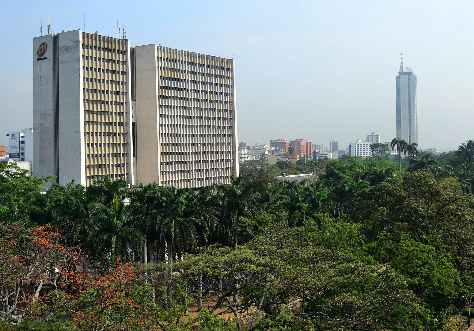 cali, ciudad verde Imagen & Foto | técnicas, panoramas , cali-colombia ...