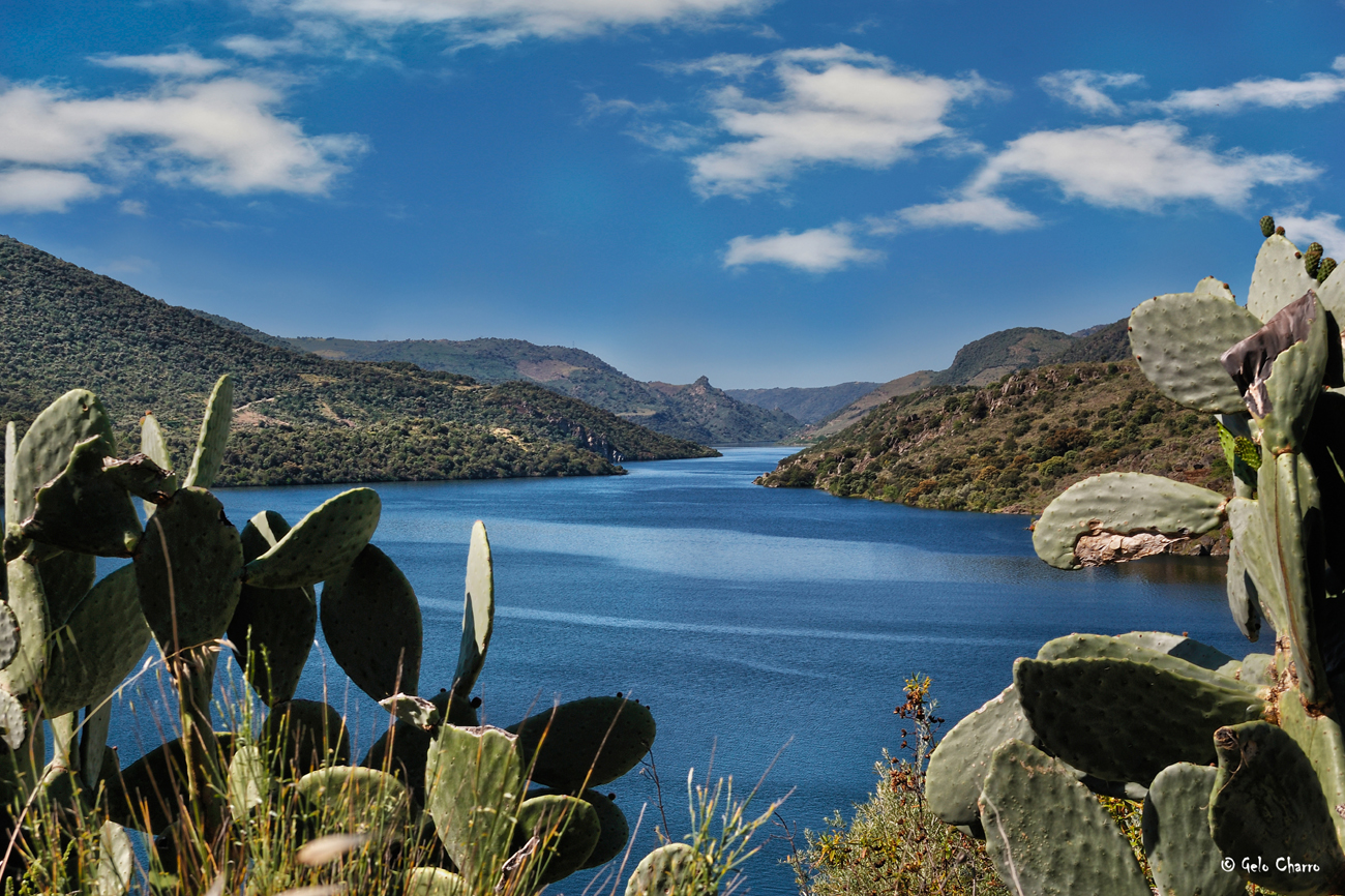 Calma Imagen & Foto | naturaleza y paisaje, fotos, city Fotos de ...