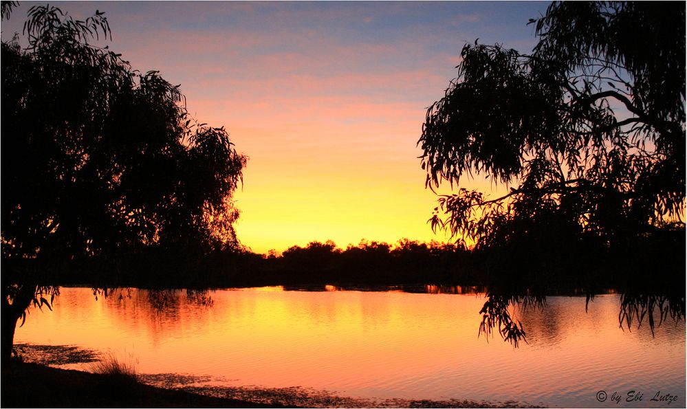 Cammoweal / Dawn at Georgina River *** Foto & Bild | australia ...