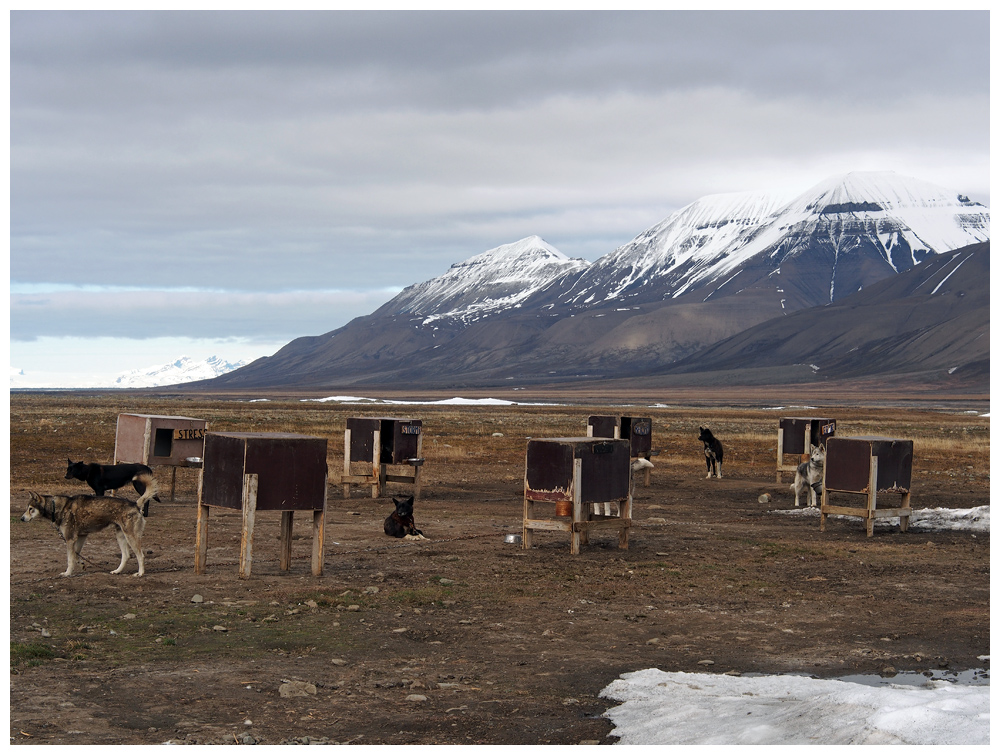 Camp Barentz II Foto & Bild | europe, scandinavia, norway Bilder auf ...