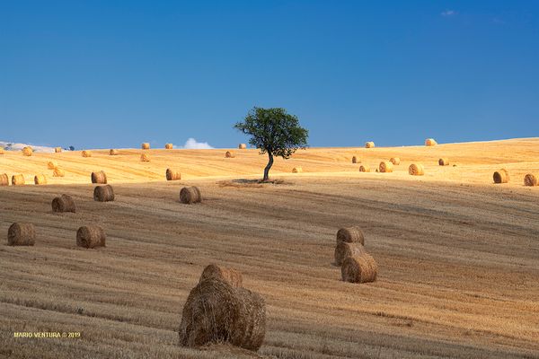 Campagna Immagini e foto