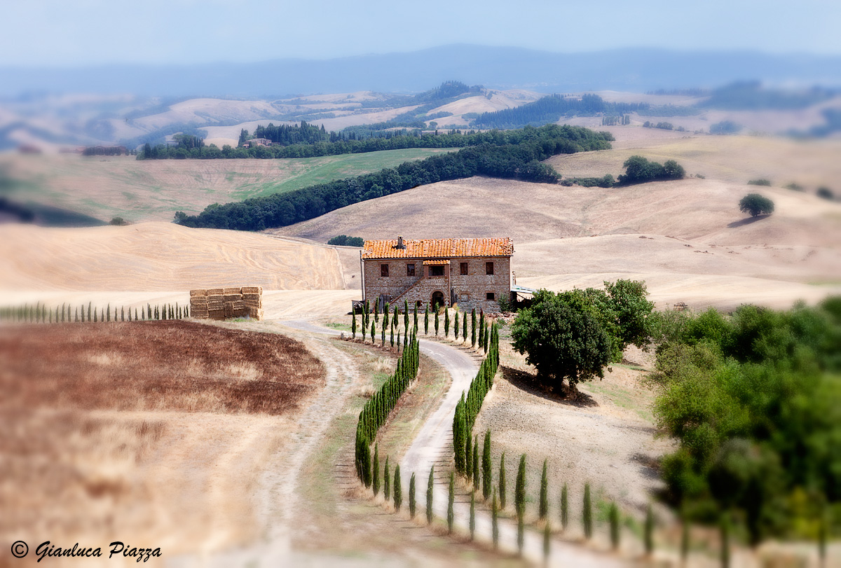 Campagna Senese Foto % Immagini| paesaggi, campagna, natura Foto su ...