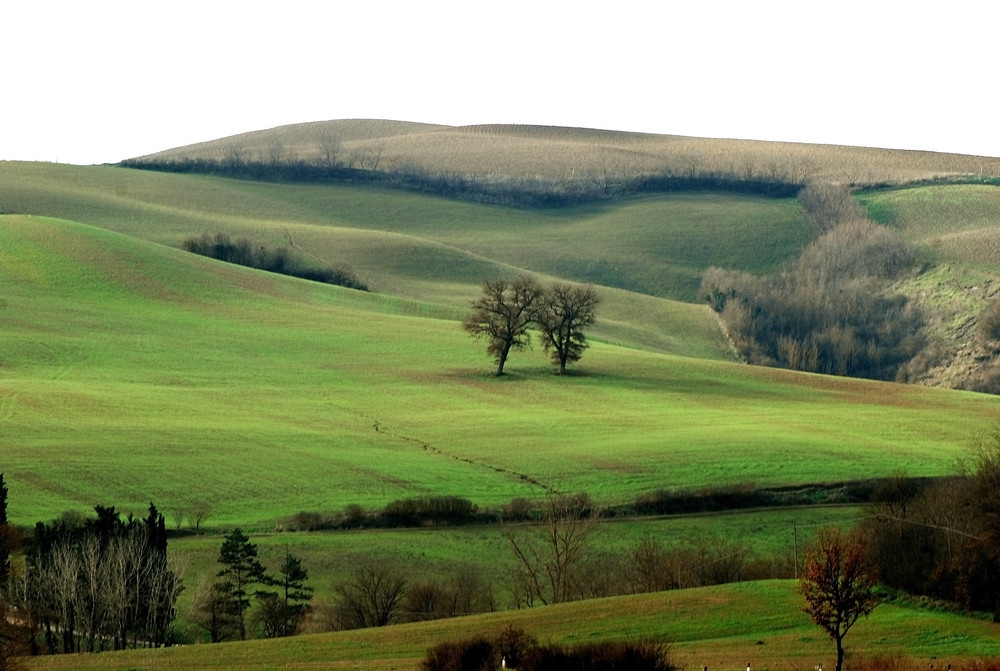 campagna senese Foto % Immagini| paesaggi, campagna, terre senesi Foto ...