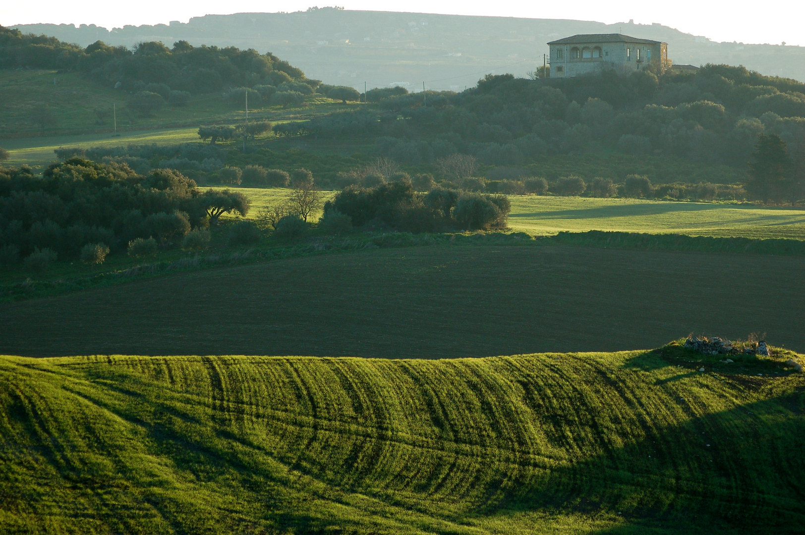 Campagna Siciliana Foto % Immagini| paesaggi, campagna, campi olivi ...