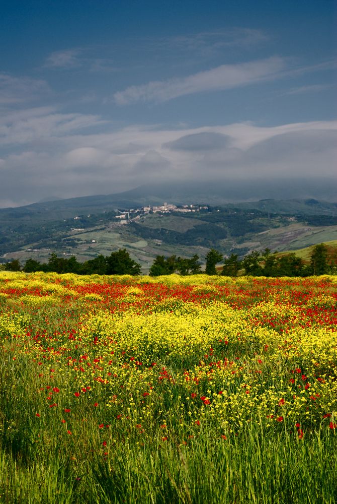 Campagna toscana Foto % Immagini| paesaggi, campagna, natura Foto su ...