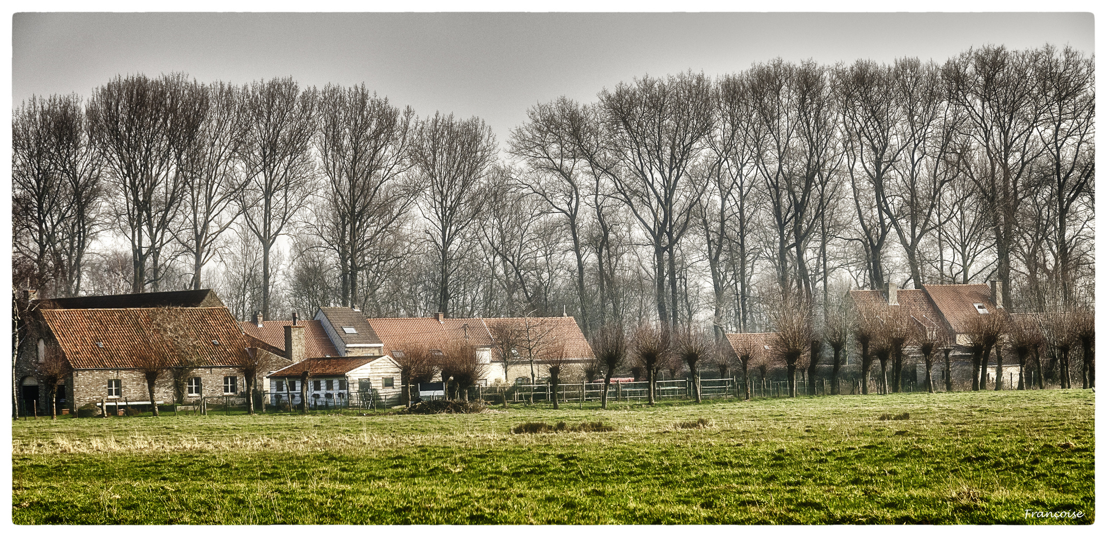 Campagne flamande photo et image | paysages, paysages de campagne ...