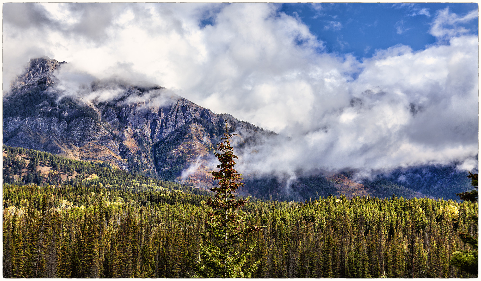Canadian Wilderness 10 Foto & Bild | north america, canada, landschaft ...