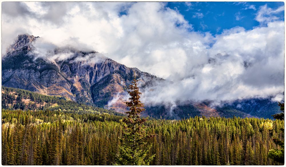 Canadian Wilderness 10 Foto & Bild | north america, canada, landschaft ...