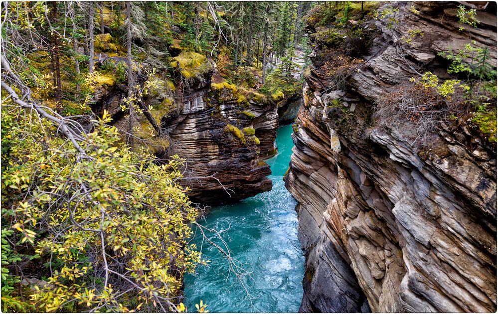 Canadian Wilderness Foto & Bild | north america, canada, landschaft ...