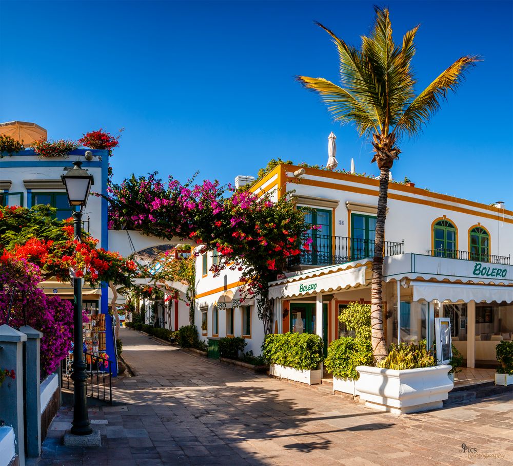 canaria flair - Kanaren752 Foto & Bild | kanaren, spain, summer Bilder ...