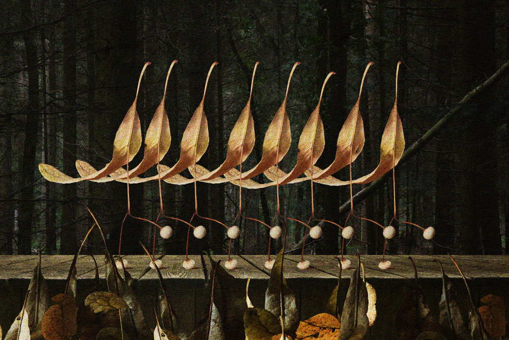 Cancan Foto & Bild | fotomontage, fantasy mystery, fun Bilder auf ...